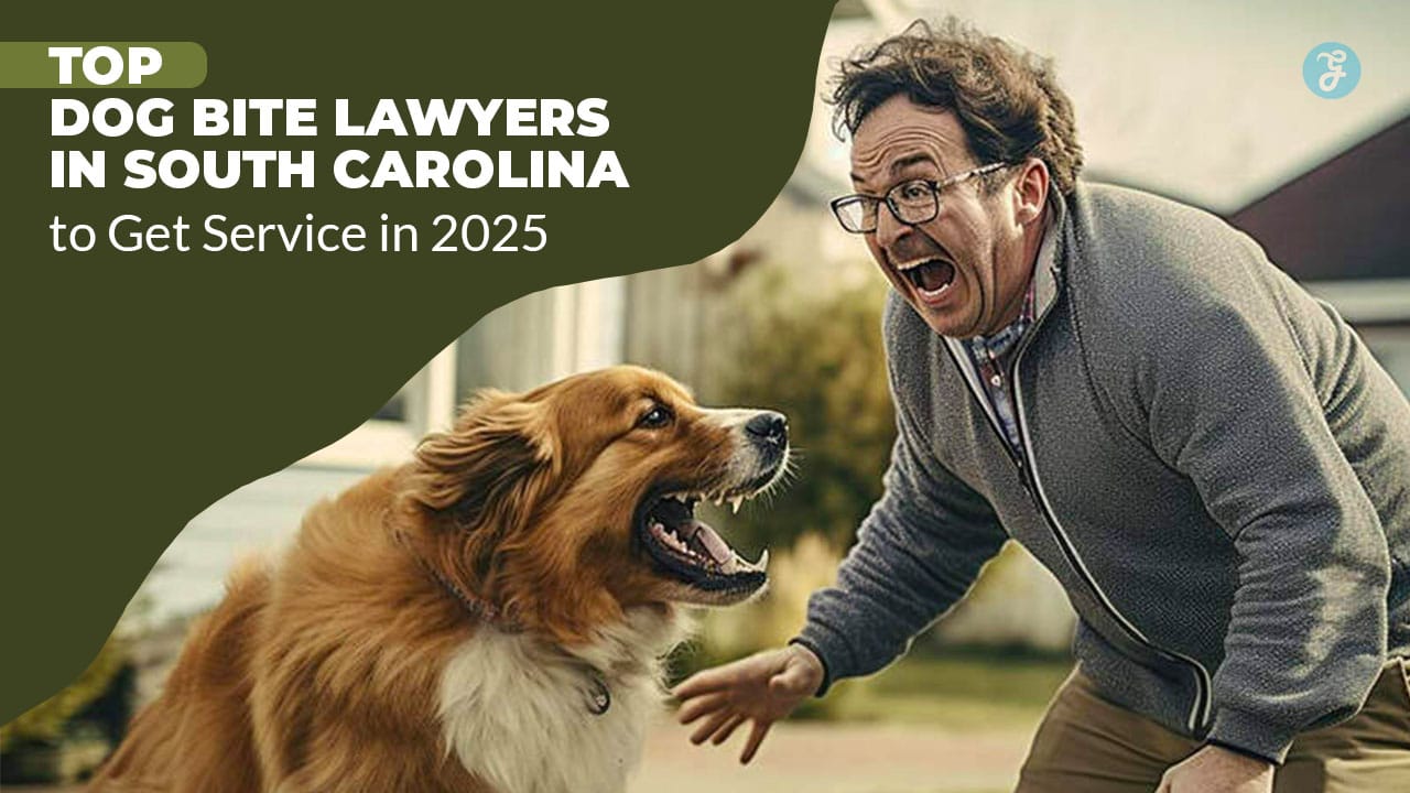Top 10 Dog Bite Lawyers in South Carolina to Help You Get Justice